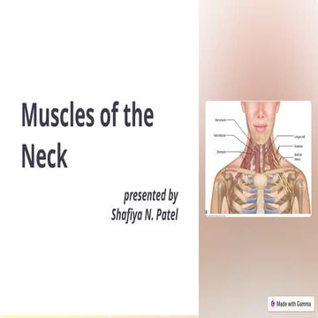 Muscles-of-the-Neck.-pptx -from- Anatomy | PPTX