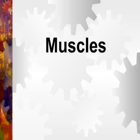 Muscles | PPT
