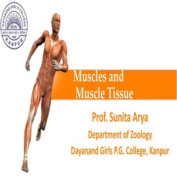 Anatomy and Physiology of Muscular System.ppt