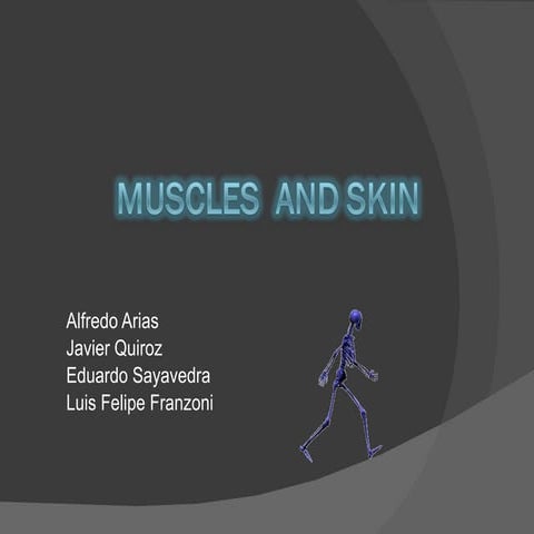 Muscles and skin | PPT
