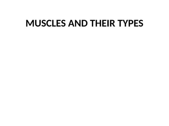 muscles and its types. pptx | PPTX