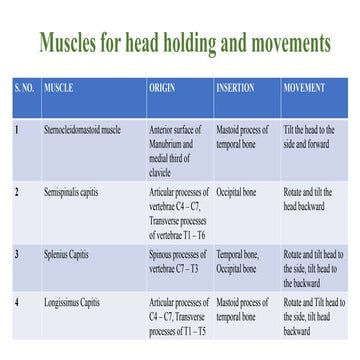 Muscles for head holding and movements.pptx