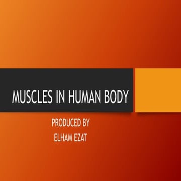 Muscles in human body | PPTX