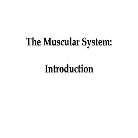 Muscles intro | PPT