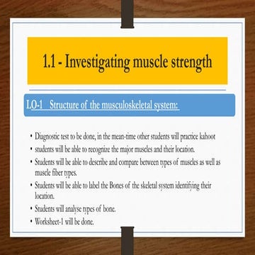 muscles introduction (1).pptx