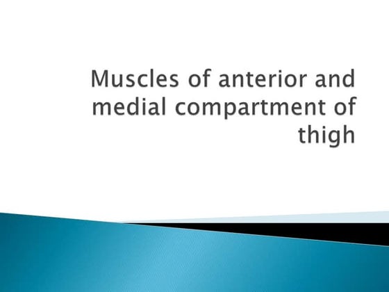 All joint Range of motion with anatomical refence points | PDF