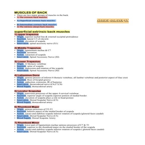 MUSCLES OF BACK.pdf