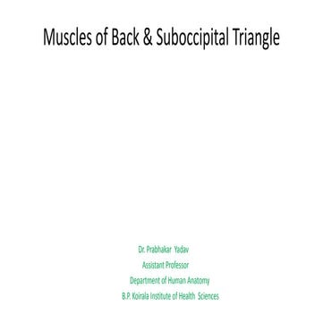 Muscles of back, Suboccipital triangle | PPT