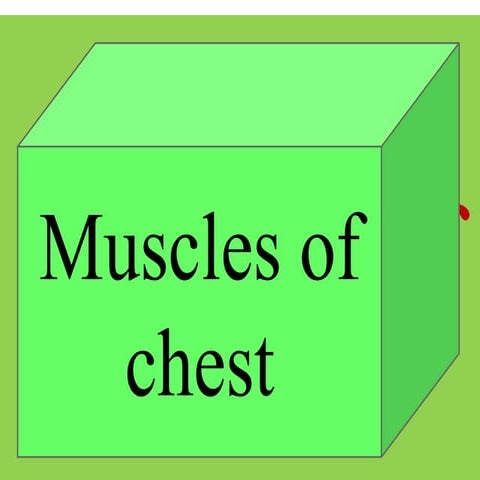 Muscles of chest .pptx