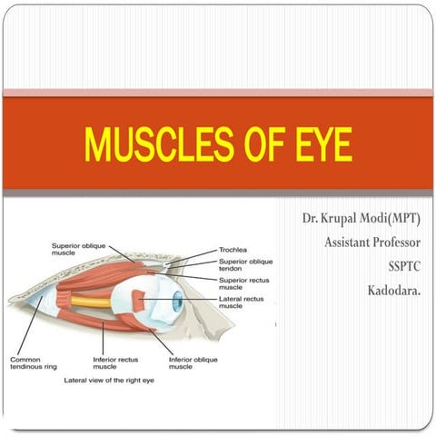 Anatomy of Human muscles of eye.pptx