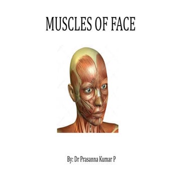 Muscles of facial expressions | PPTX