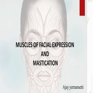 Muscles of facial expression and mastication | PPTX