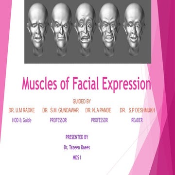 Muscles of facial expressions | PPTX