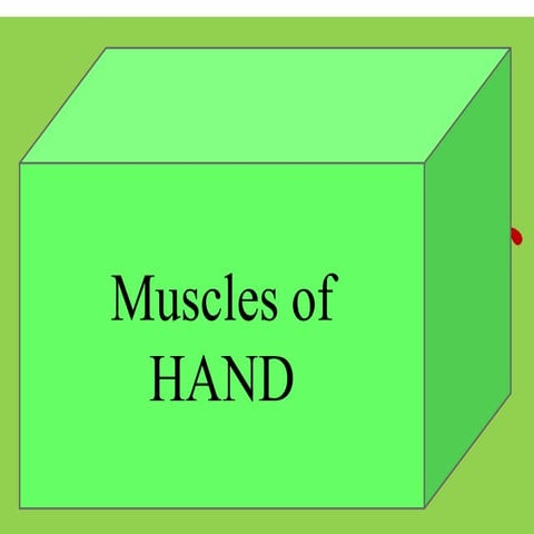 intrinsic muscles of Hand.pptx