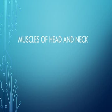 Muscles of face | PPTX
