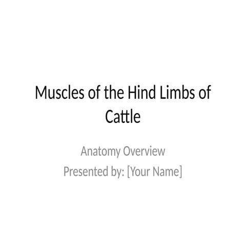 Muscles_of_Hind_Limbs_of_Cattle anatomy.pptx