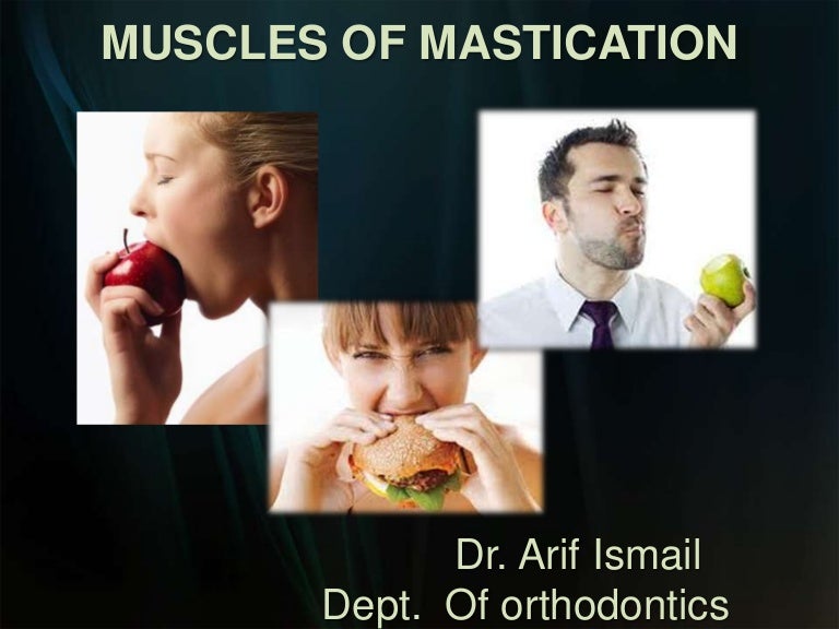 Mastication