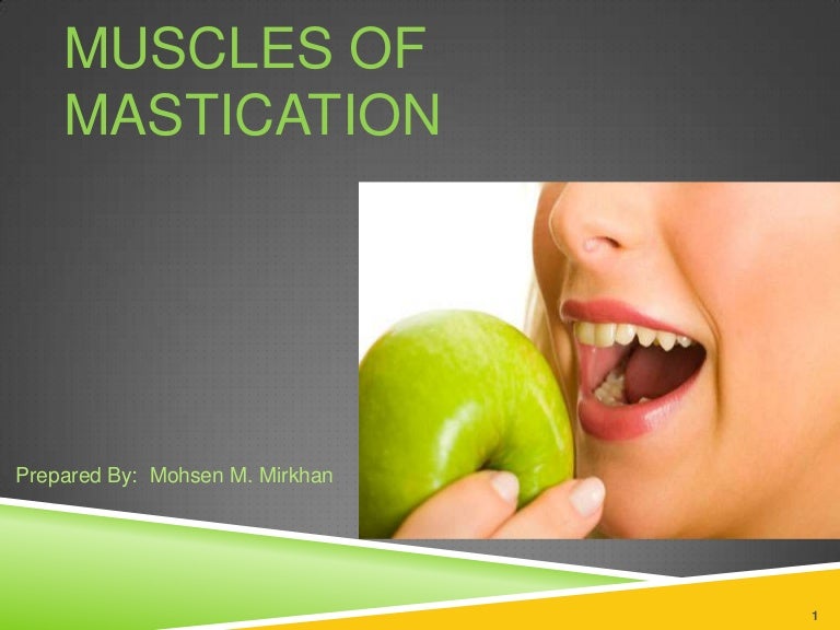 Mastication