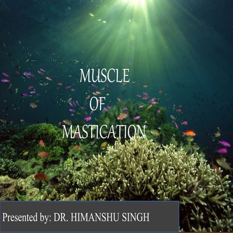 Suprahyoid and infrahyoid muscles | PPTX