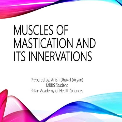 Muscles attached to the mandible | DOCX