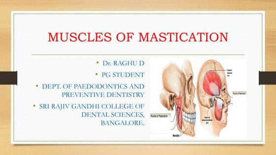 Mechanism of respiration | PPT