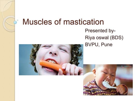 Muscles of mastication & TMJ Dr.N.Mugunthan | PDF