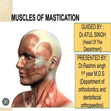 MUSCLES OF MASTICATION.pptx | Dental Health | Diseases and Conditions
