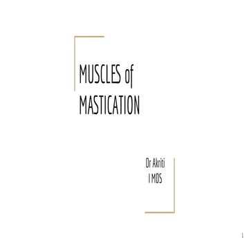 Primary and Accessory Muscles of Mastication | PDF