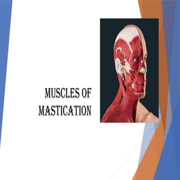 Muscles of Mastication | PPTX