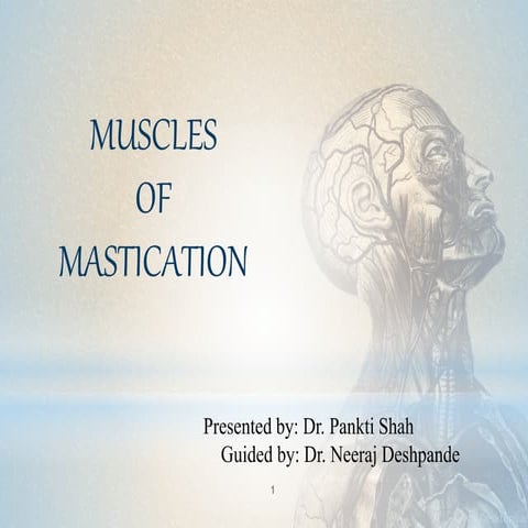 Muscles attached to the mandible | DOCX