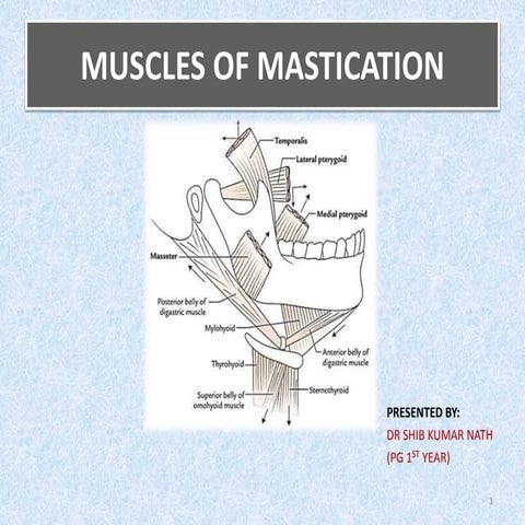 Muscles of mastication | PPT