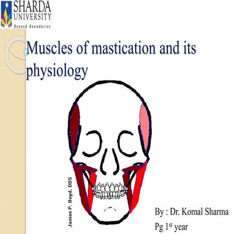 Muscles of mastication and its physiology | PPTX