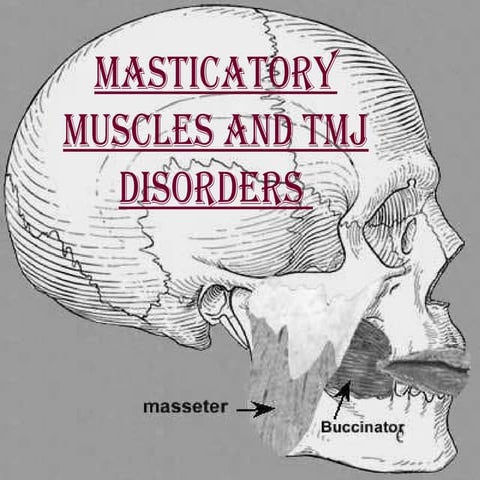 Muscles of mastication & TMJ Dr.N.Mugunthan | PDF