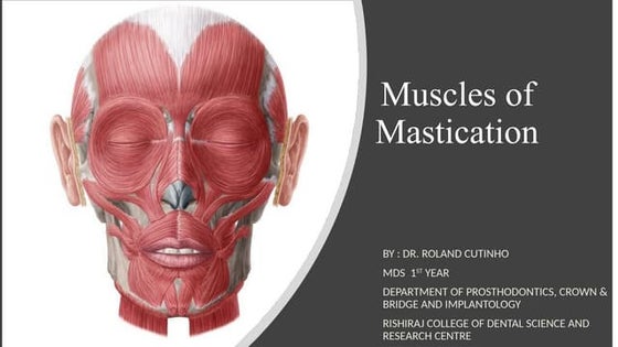 MESORECTUM TARGET DELINEATION | PPT