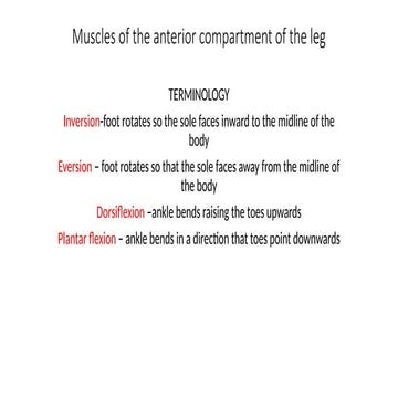 Dorsum of foot and medial side of leg | PPTX