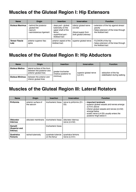 An easy way to learn upper limb muscles | PDF