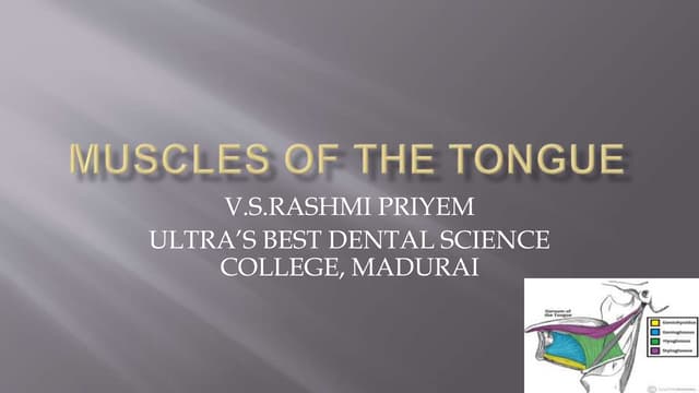 ANATOMY OF VOMER BONE | DOCX