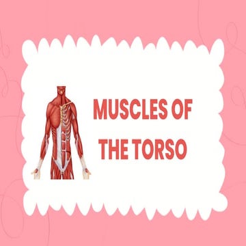Muscles of the Torso_20231012_072155_0000.pptx