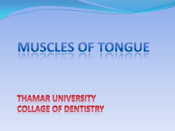 ANATOMY OF VOMER BONE | DOCX | Ear, Nose and Throat Conditions ...