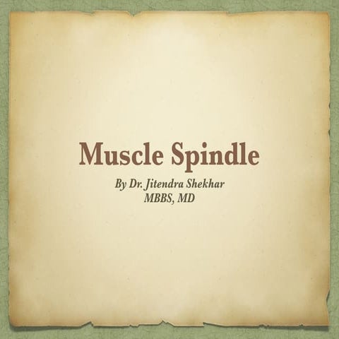 Muscle spindle | PPT