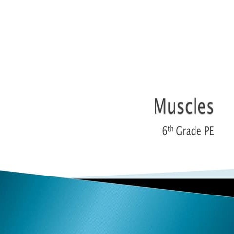 Muscles | PPTX | Death, Injury, or Military Conflict | Sensitive Topics