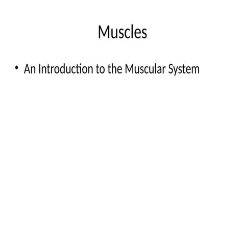 Muscular System | PDF