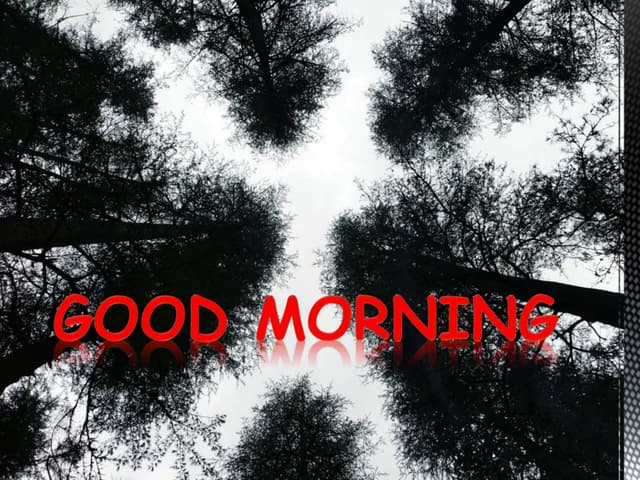 Vonlay; A paradigm shift in post endodontic restoration: A case report ...