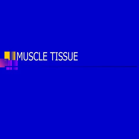 Muscle tissue | PPT | Biological Sciences | Science