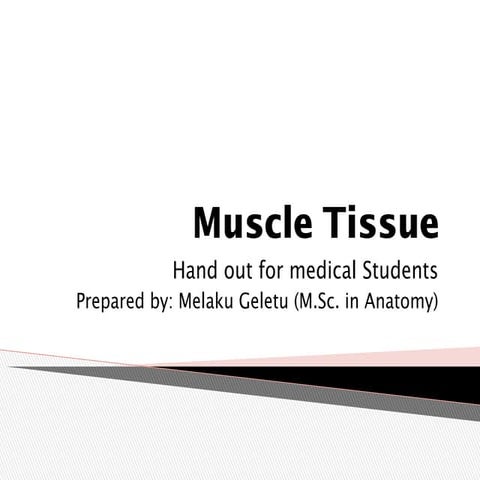 5.Muscle tissue.pptx cell and tissue organization | PPTX