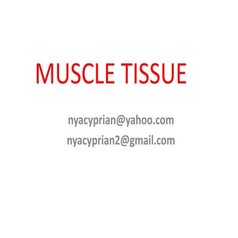 MUSCLE TISSUE.ppt