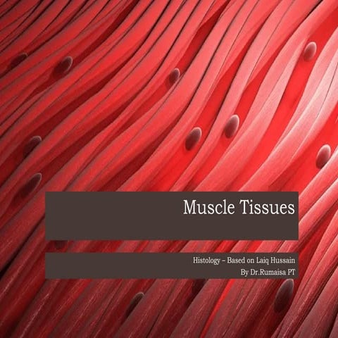 Muscle_Tissues_Histology_presentation by Dr.Rumaisa PT | PPTX