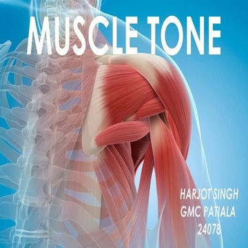 MUSCLE TONE.pptxfokkkkkkkkkkkkkkkkkkkkkkkkkkkkkkkkkkkk | PPTX