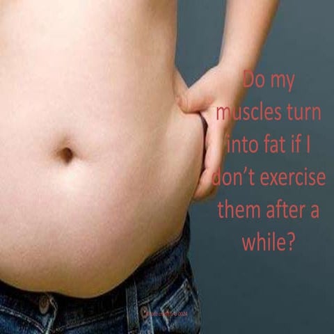 Muscle vs. fat cells | PPTX