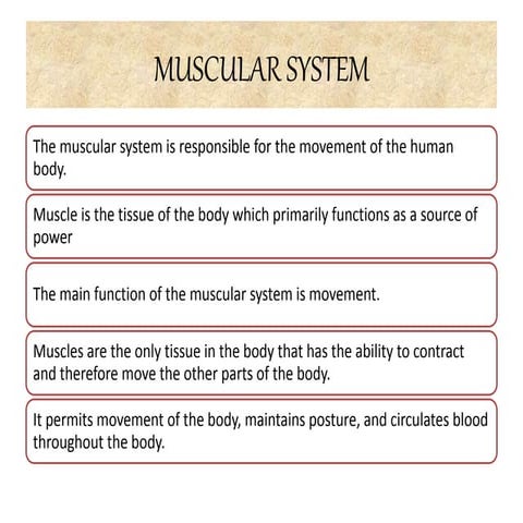 Musclular system introduction | PPT